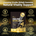 VivoNu Shilajit Gummies daily health boost