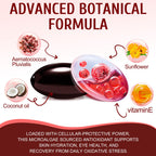 Vortexonix antioxidant softgels for wellness