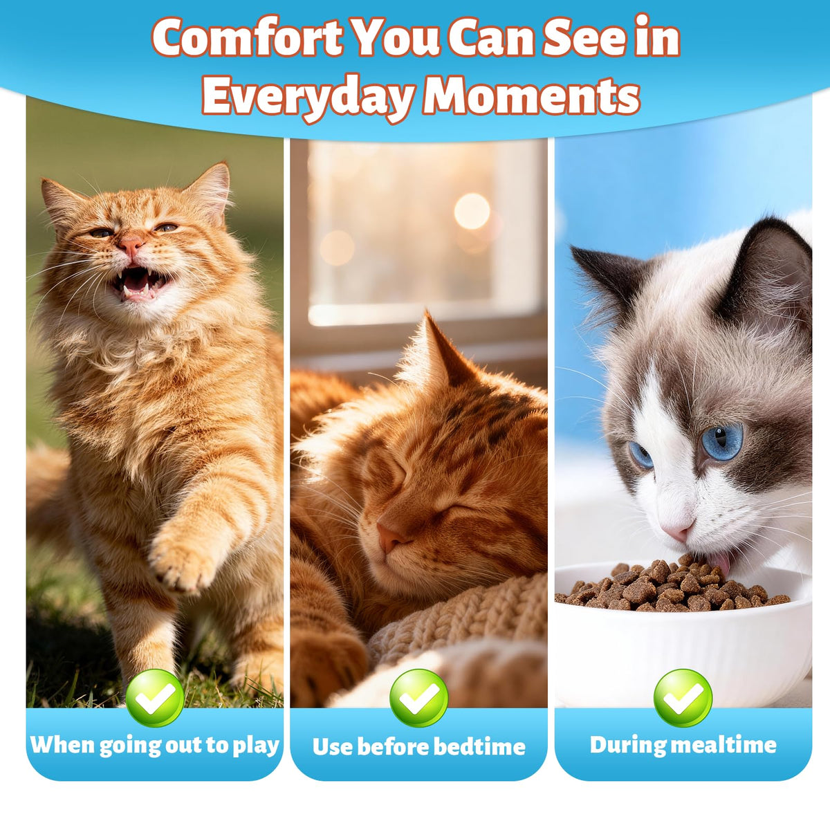 VUN L Lysine for stress relief in cats