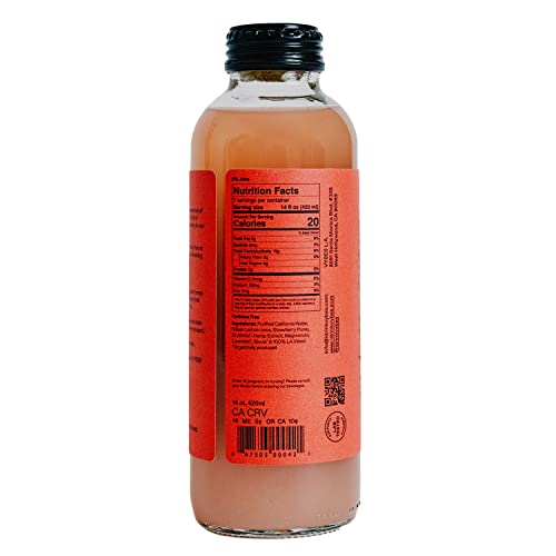 VYBES vegan drink for overall wellness