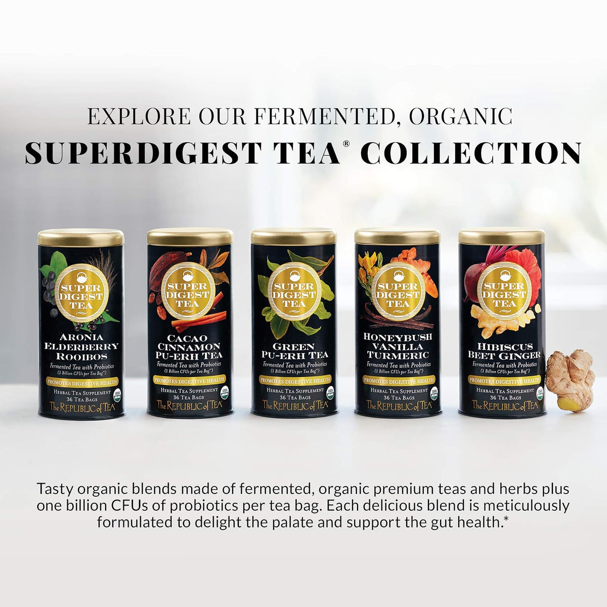 Warm Cacao Cinnamon tea experience