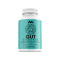 Warped Wellness gut health capsules