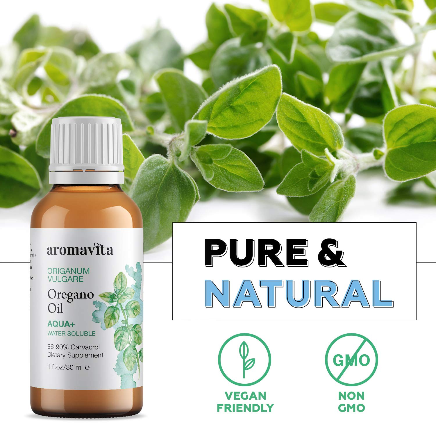 water soluble oregano oil benefits