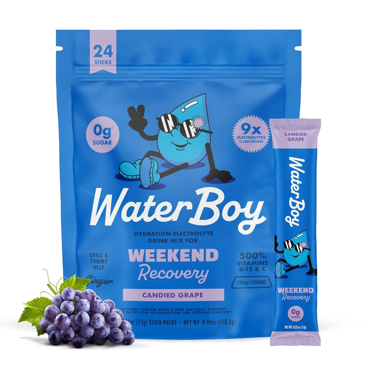 Waterboy grape electrolyte powder pack