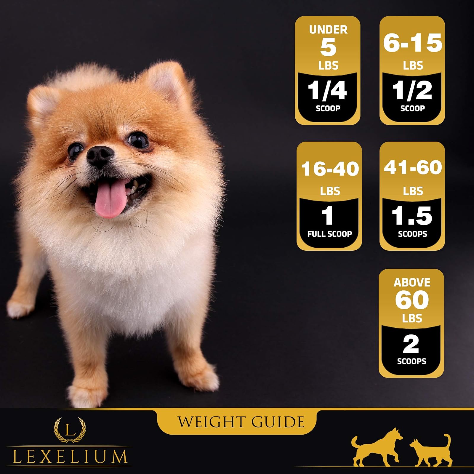 Weight gain formula for cats