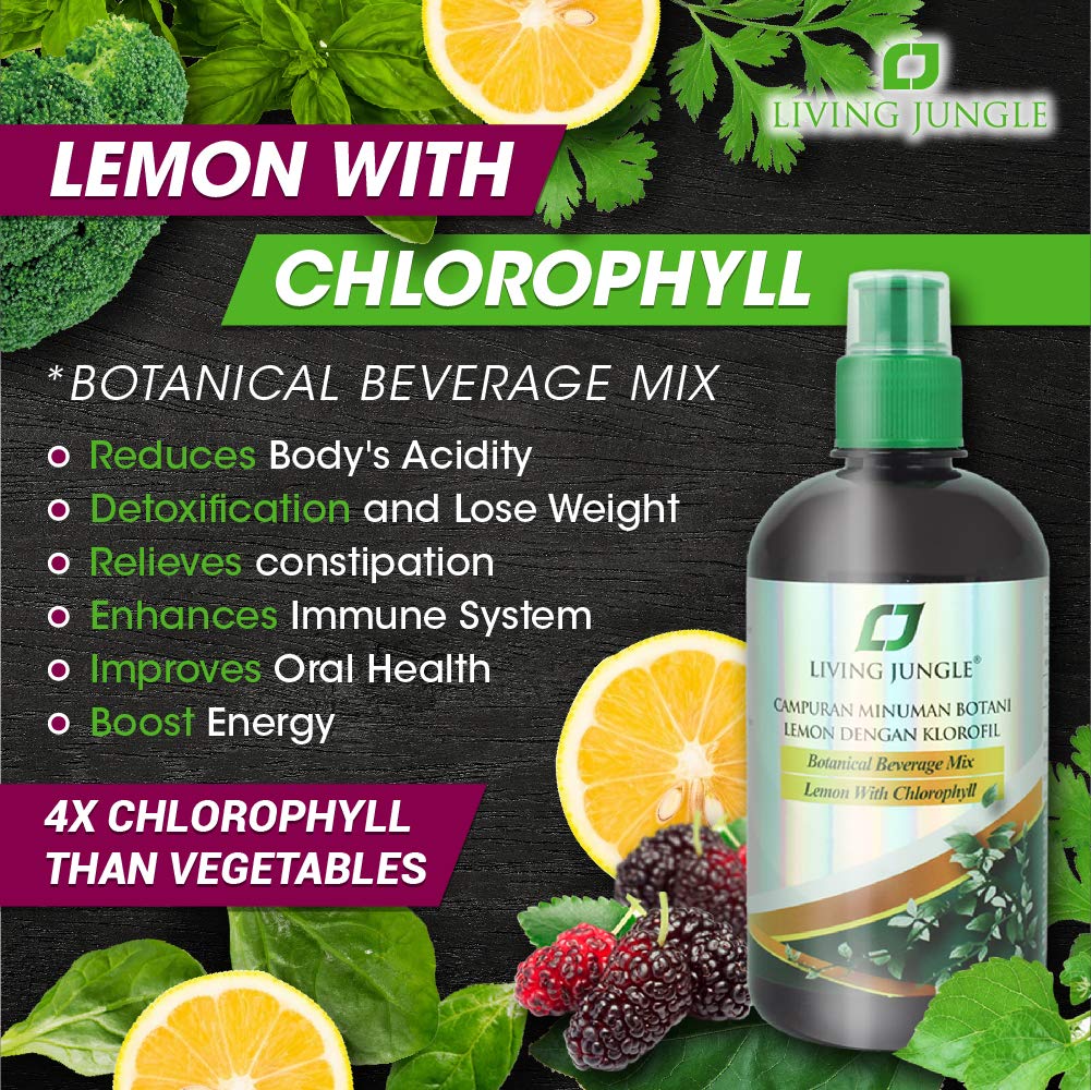 weight loss benefits of chlorophyll drops