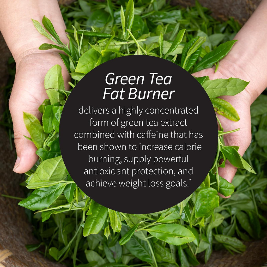 weight loss support green tea