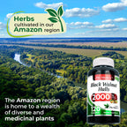weight management black walnut hull benefits