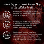Weight management cleanse solution