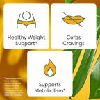 Weight management gummies for healthy lifestyle