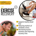 weight management with l-carnitine