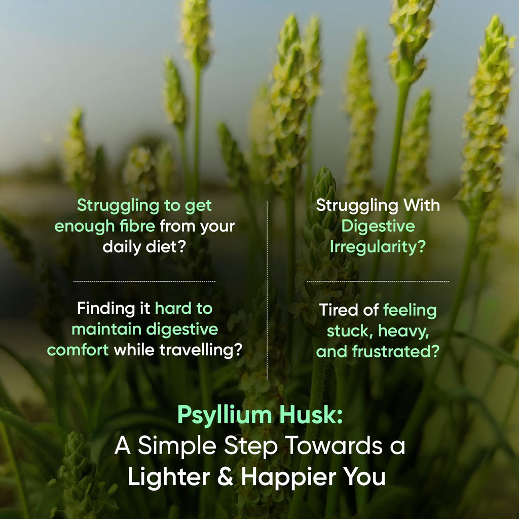 WeightWorld psyllium husk capsules