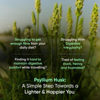 WeightWorld psyllium husk capsules