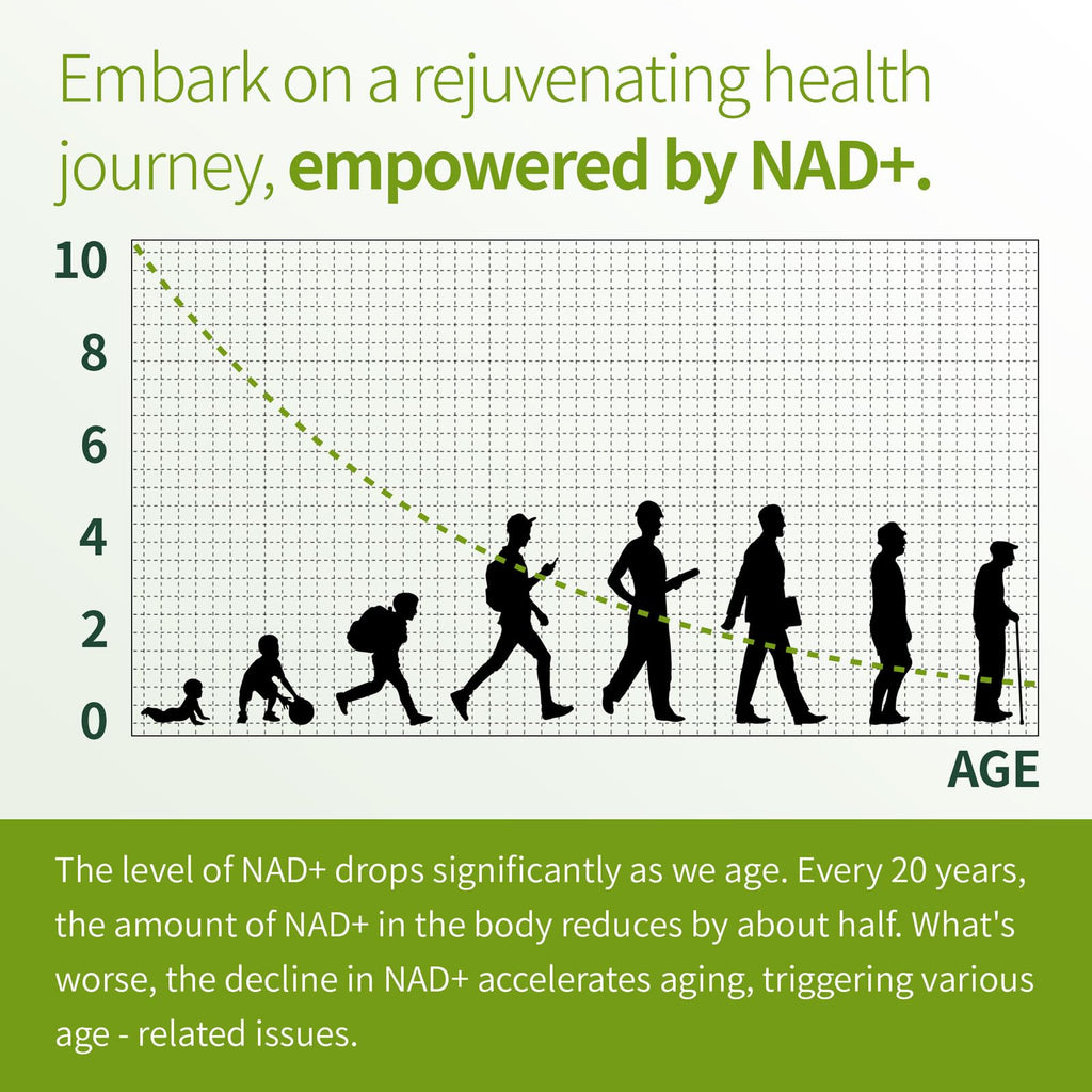 Welitalisync NAD+ supplement features