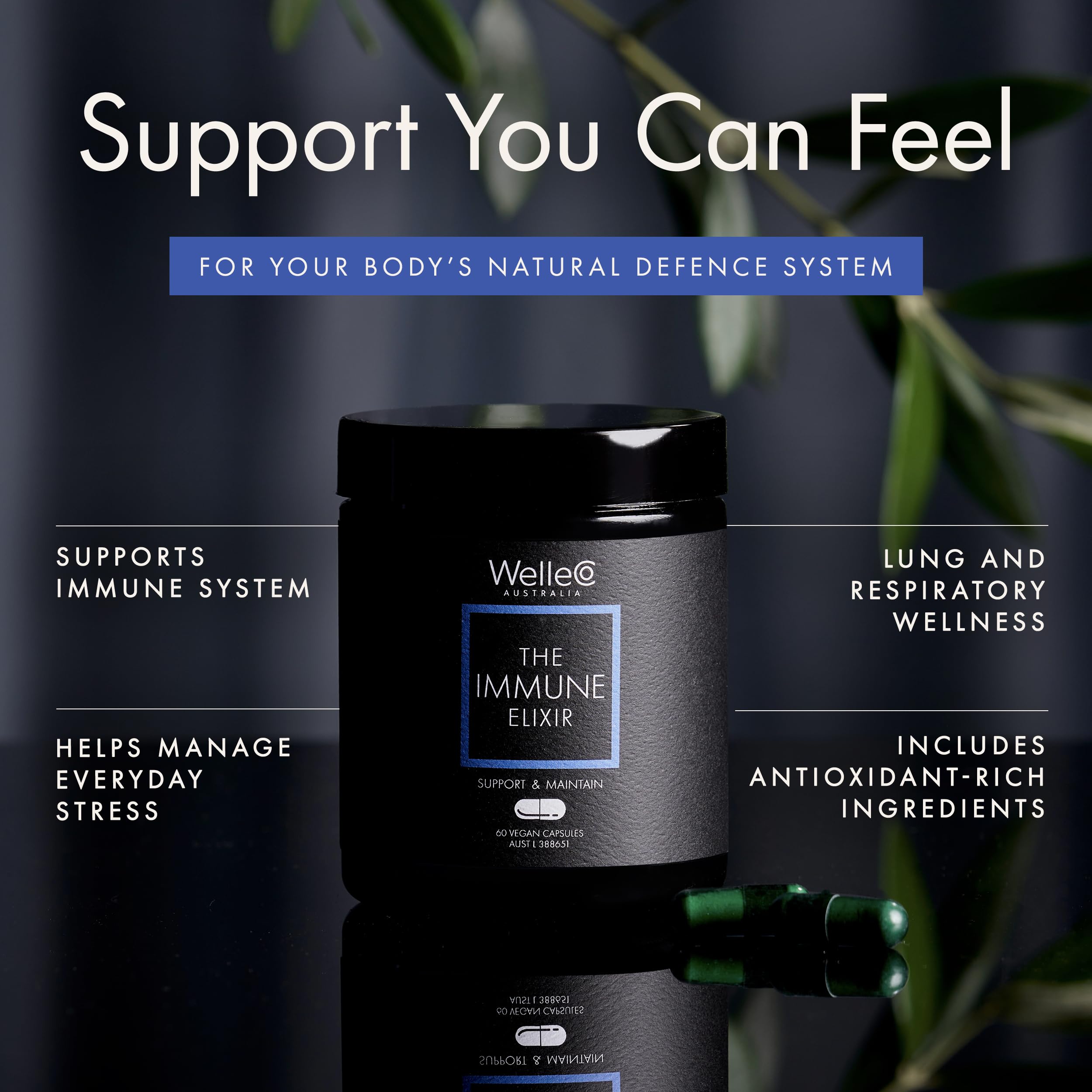 WelleCo elderberry for seasonal wellness
