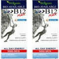 Wellgenix B12 sublingual tablets