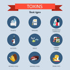 Wellgenix capsules for gentle detox