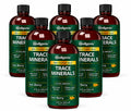 Wellgenix liquid trace minerals benefits