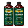 Wellgenix trace minerals liquid supplement