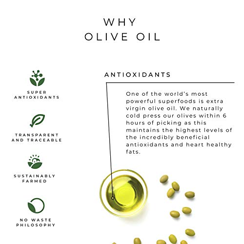 WellGrove olive leaf energy support