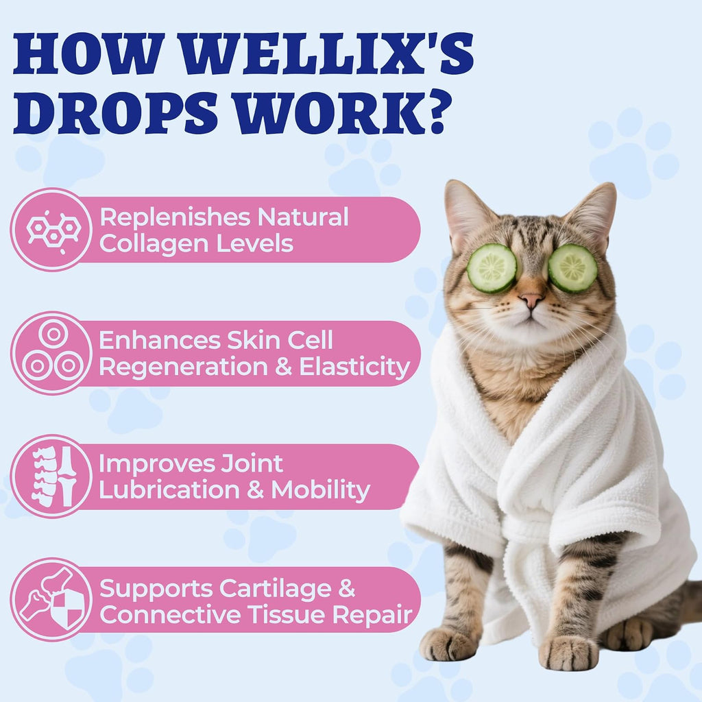 Wellix collagen drops for joint support