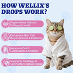 Wellix collagen drops for joint support