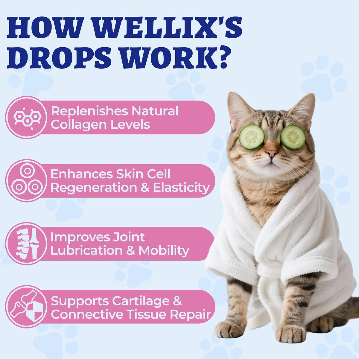 Wellix collagen drops for joint support