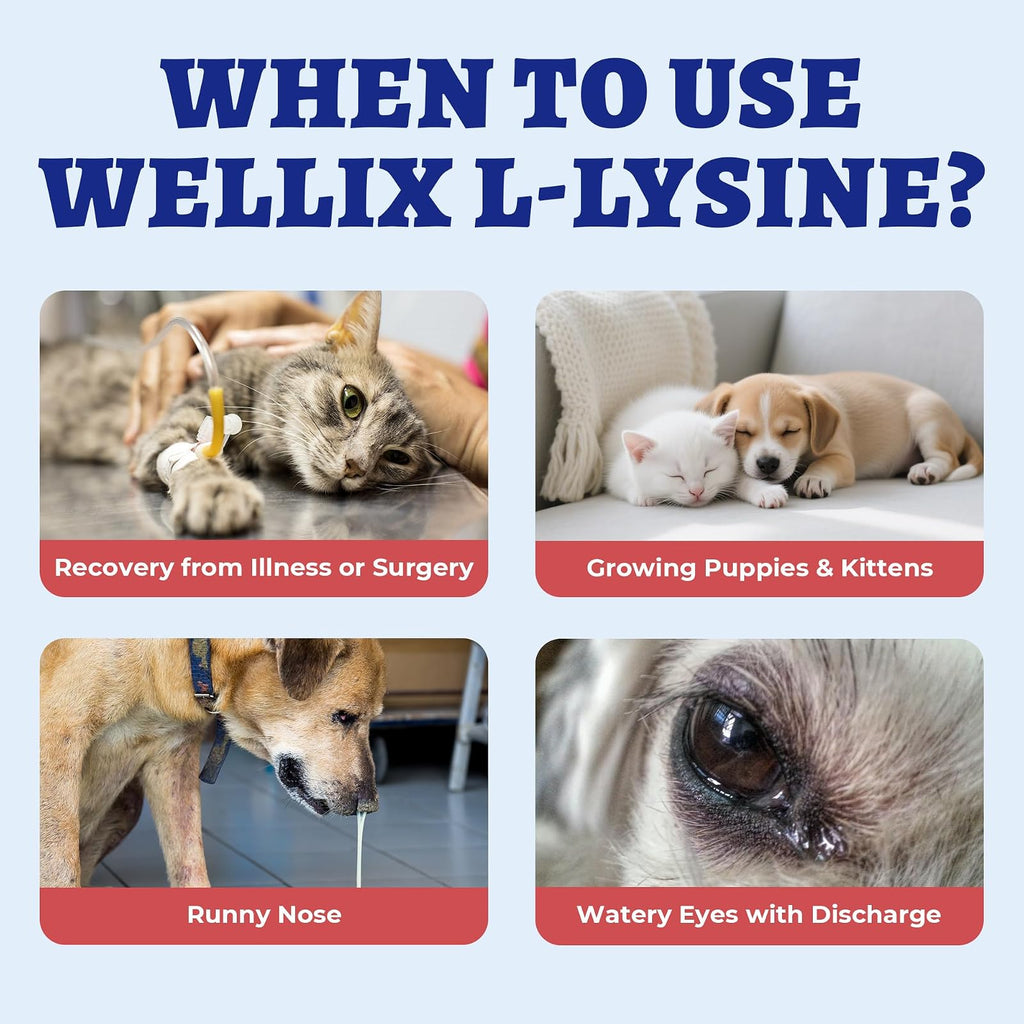 wellix l-lysine drops for cats