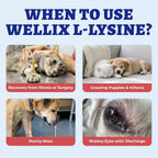 wellix l-lysine drops for cats