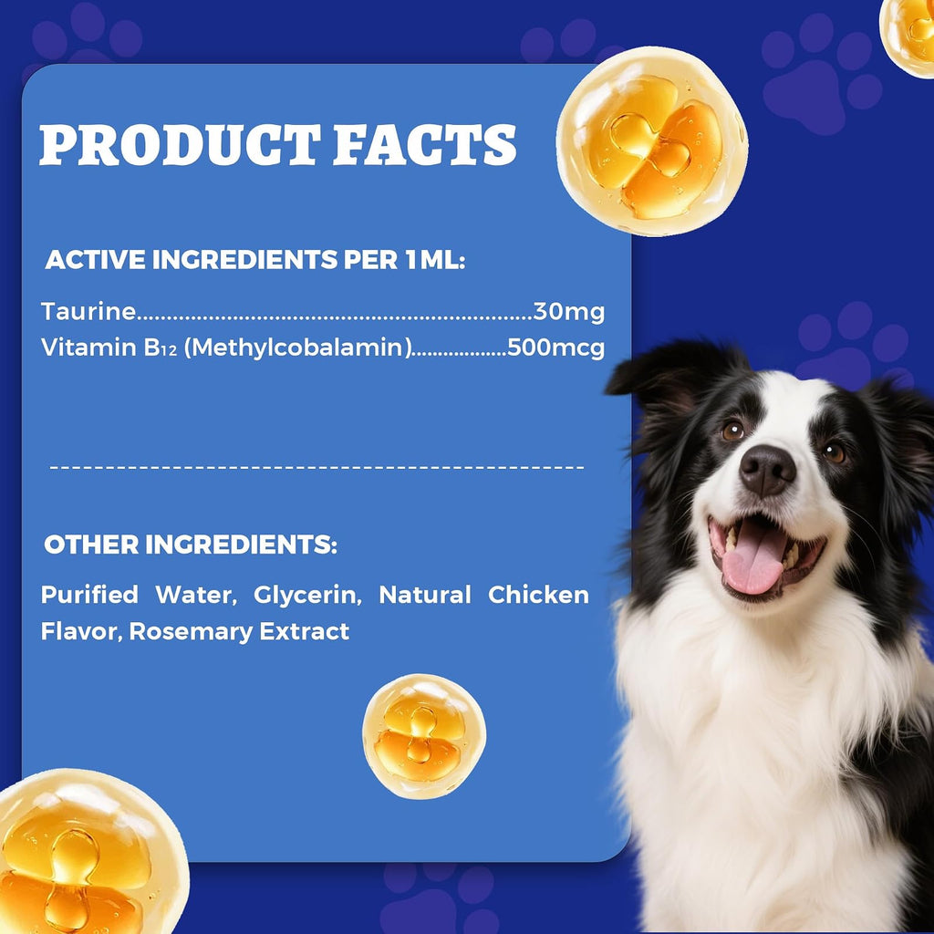 Wellix liquid B12 for active pets