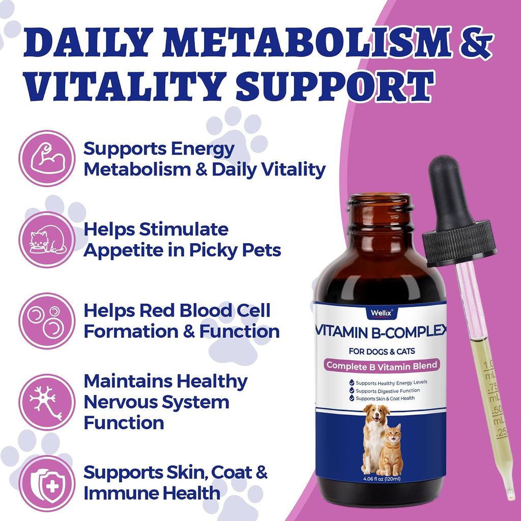 Wellix liquid vitamin B for absorption