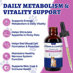 Wellix liquid vitamin B for absorption