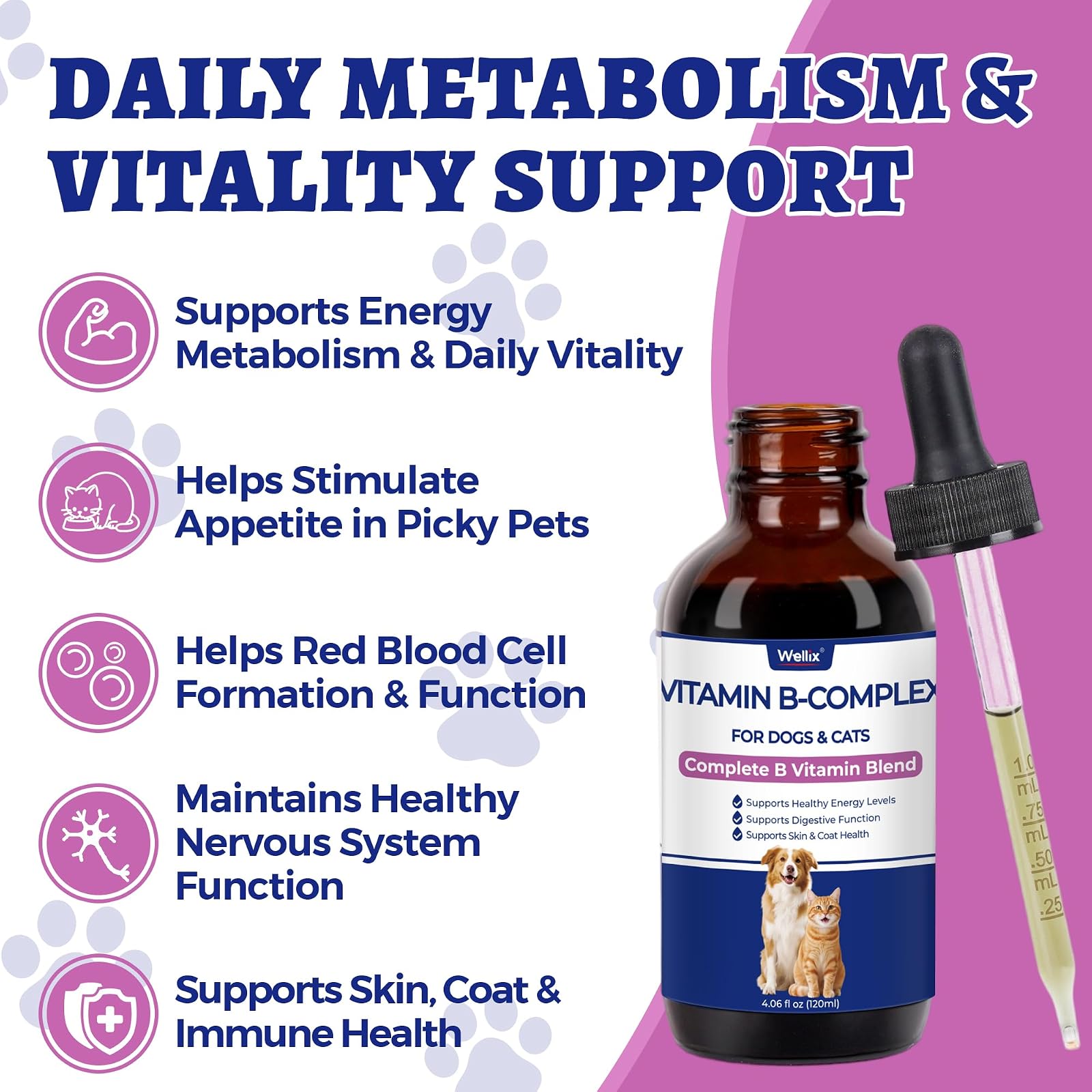 Wellix liquid vitamin B for absorption