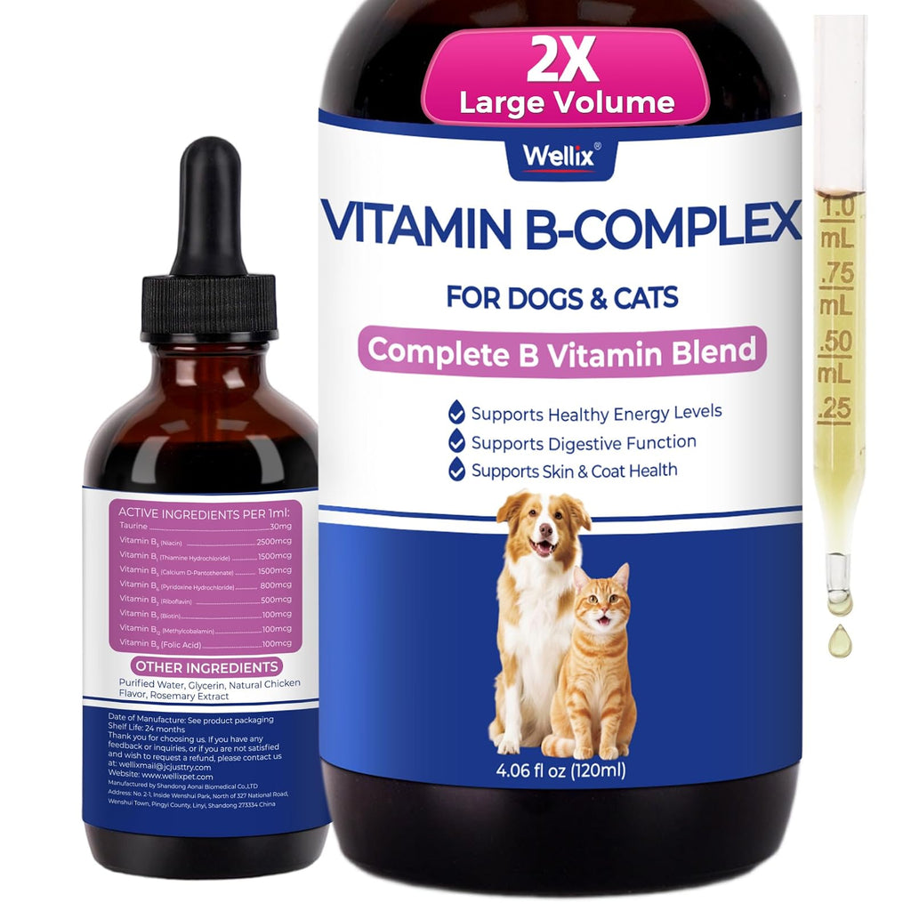Wellix Vitamin B Complex drops for energy