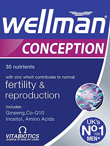 Wellman Conception multivitamins for men