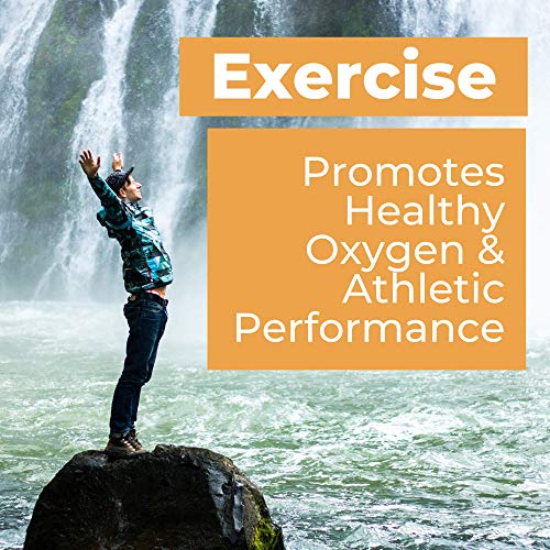 wellness benefits of cordyceps