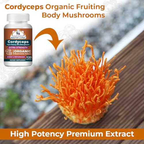 wellness benefits of cordyceps
