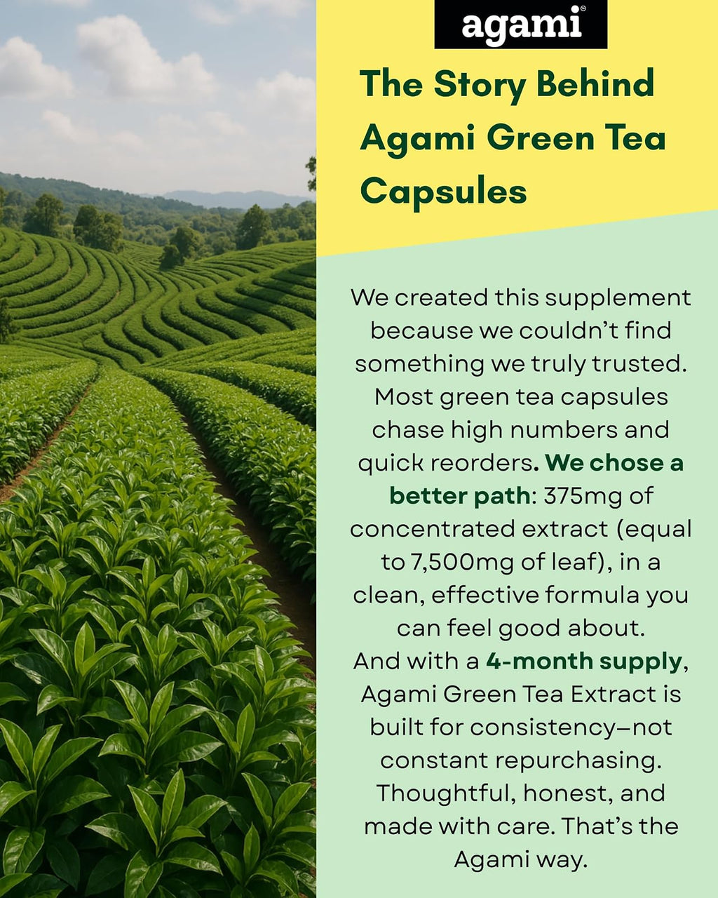 wellness benefits of green tea