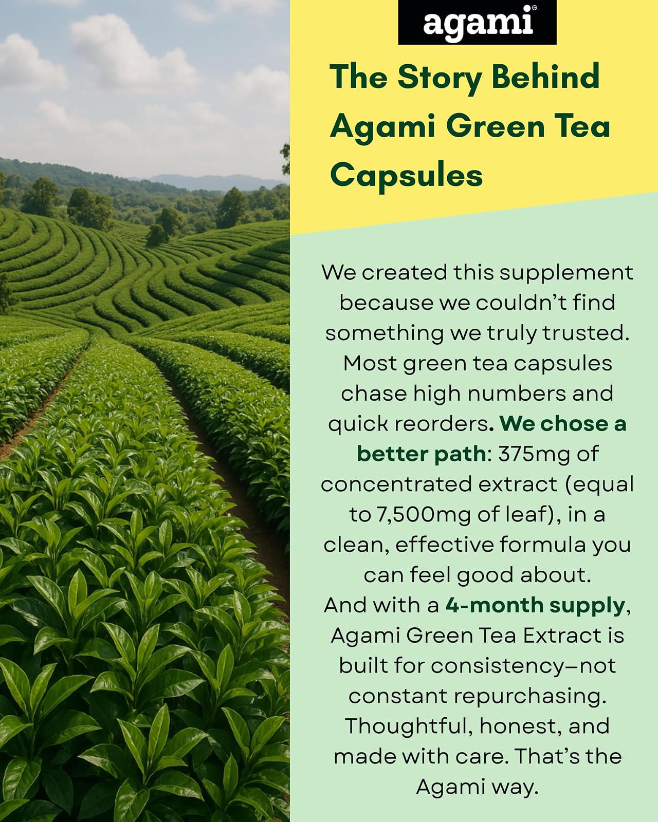 wellness benefits of green tea
