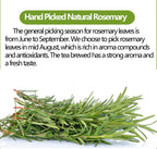 wellness benefits of rosemary tea