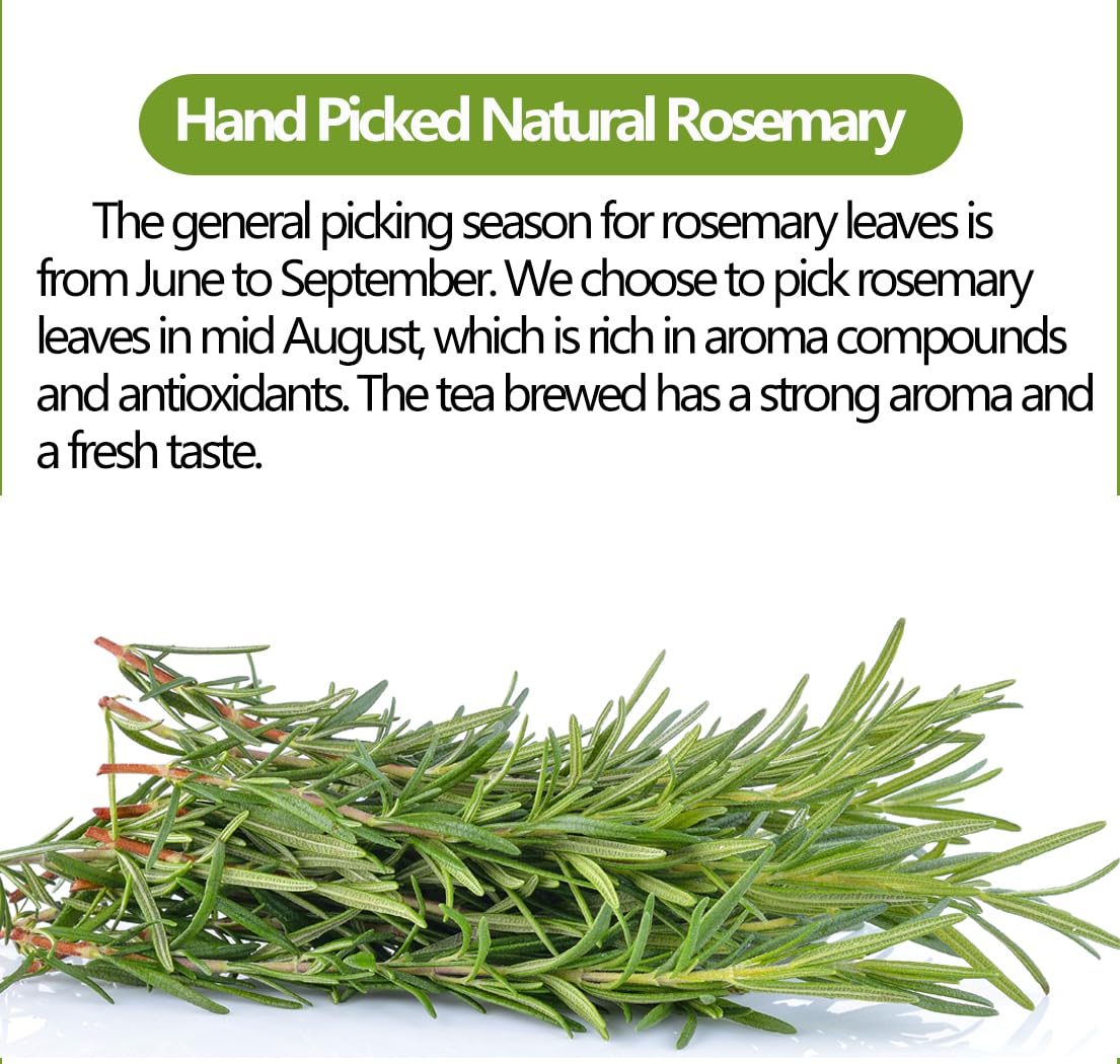 wellness benefits of rosemary tea