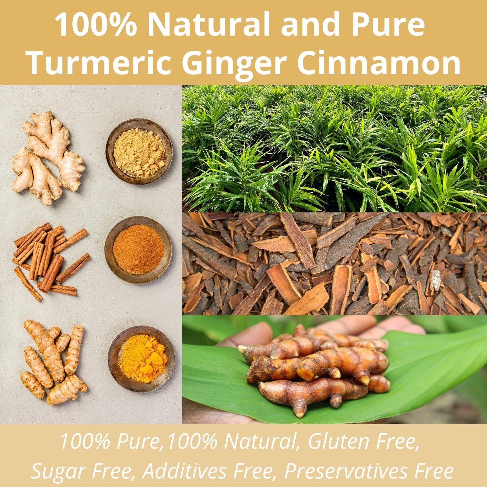wellness benefits of turmeric tea