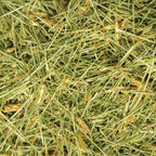 wellness benefits of white pine tea