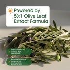 wellness boost from olive leaf extract