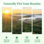wellness boost with gut ease tea
