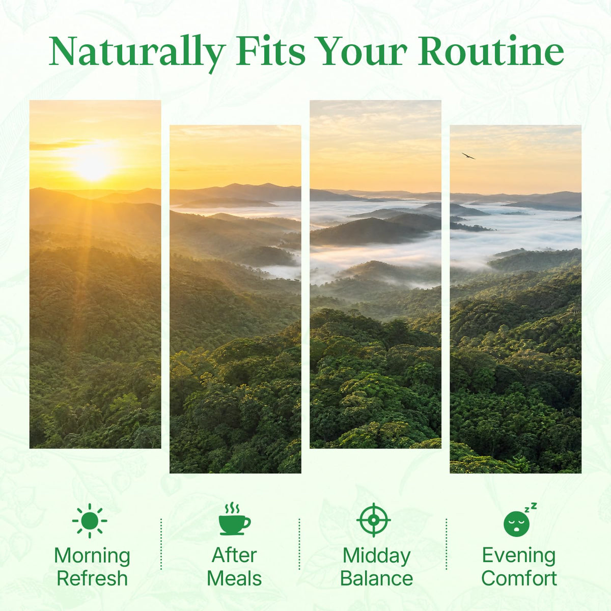 wellness boost with gut ease tea