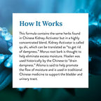 Wellness boost with kidney activator