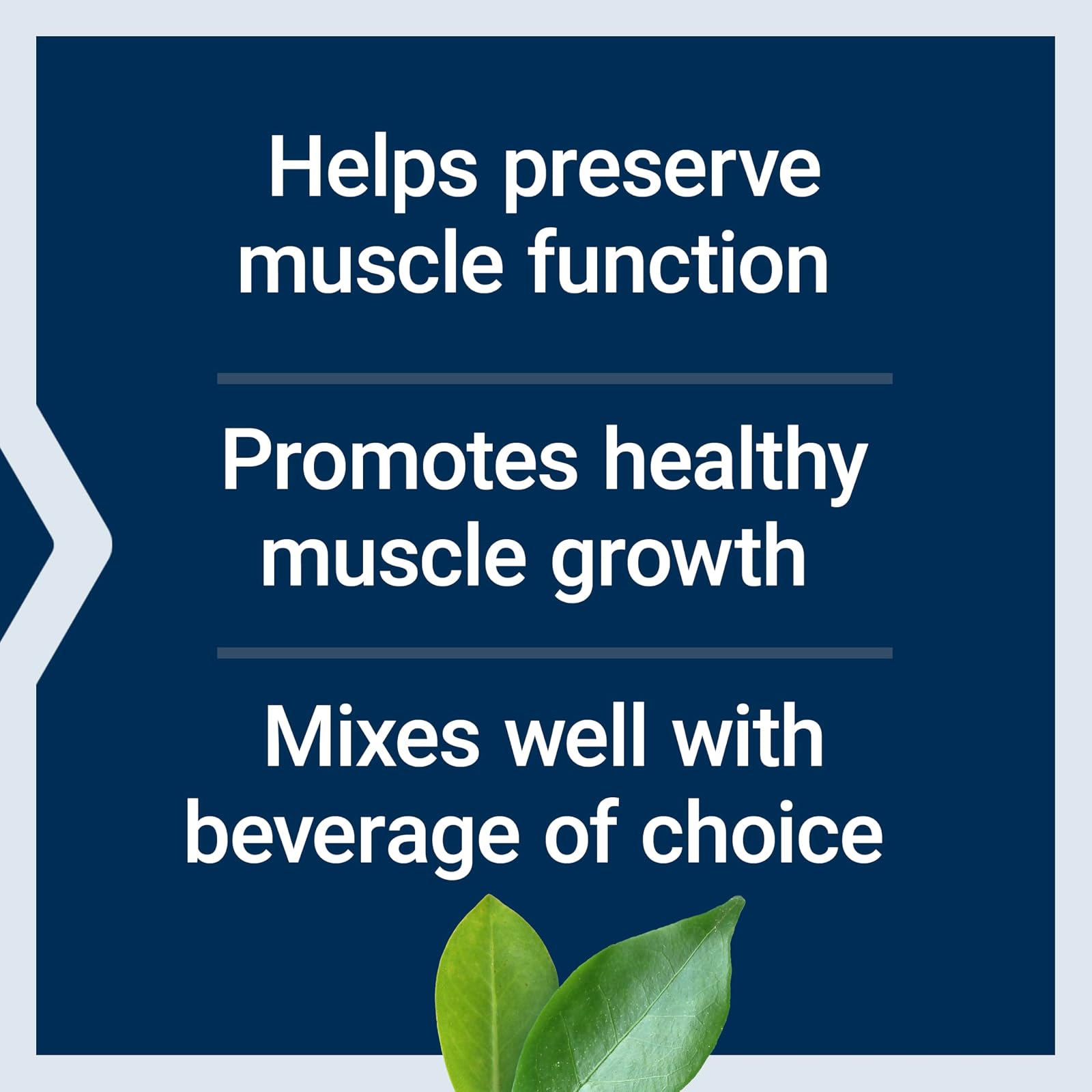 wellness code protein for strength