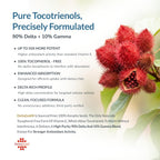 Wellness Extract Annatto tocotrienols benefits
