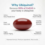 wellness extract coq10 for active lifestyle